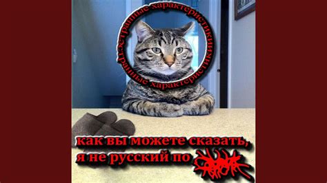 ЕСЛИ У ВАС БЫЛА КАКАЯ ЛИБО ПОДСКАЗКА Youtube