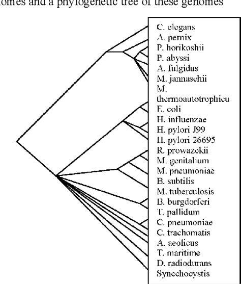 Figure 1 From Transductive Learning With Em Algorithm To Classify