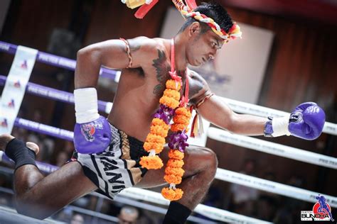 Samui International Muay Thai Boxing Stadium Ticket Thailand Kkday