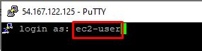 If You Are Using Ubuntu AMI For The Lab