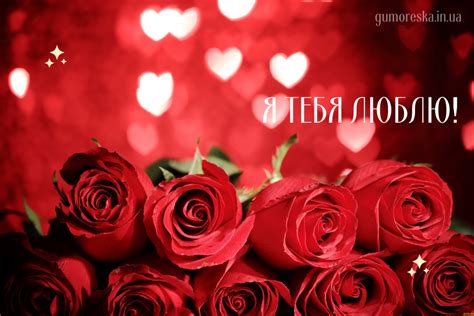 Я тебя люблю картинки и откритки про любовь топ 50