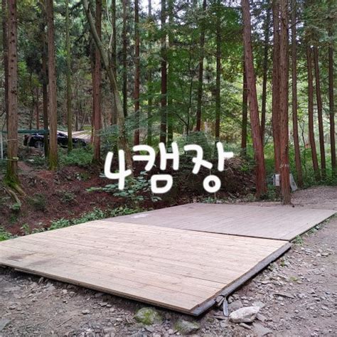 예약하기 편백힐 치유의숲 캠핑장