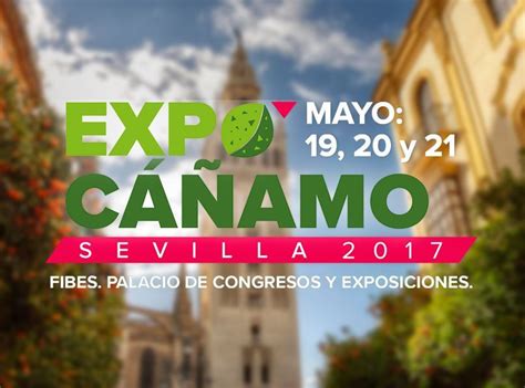 Feria Sevilla Pro Xl Complete Concentrated