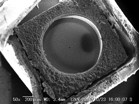41j Blog Blog Archive Another Iphone Mems Mic Different