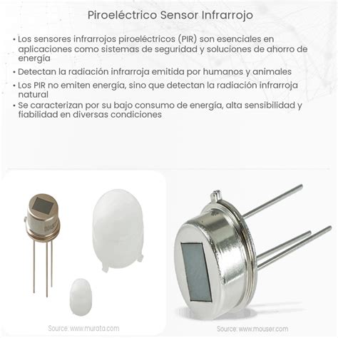 Piroeléctrico Sensor Infrarrojo Electricity Magnetism