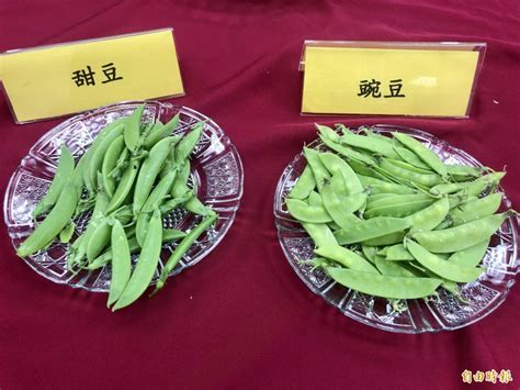 進口豌豆莢農藥殘留嚴重 消基會抽檢甜豆筴不合格率達100％ 自由健康網