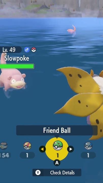 How I Knew This Was A Shiny Pokemonscarletandviolet Shinyhunting