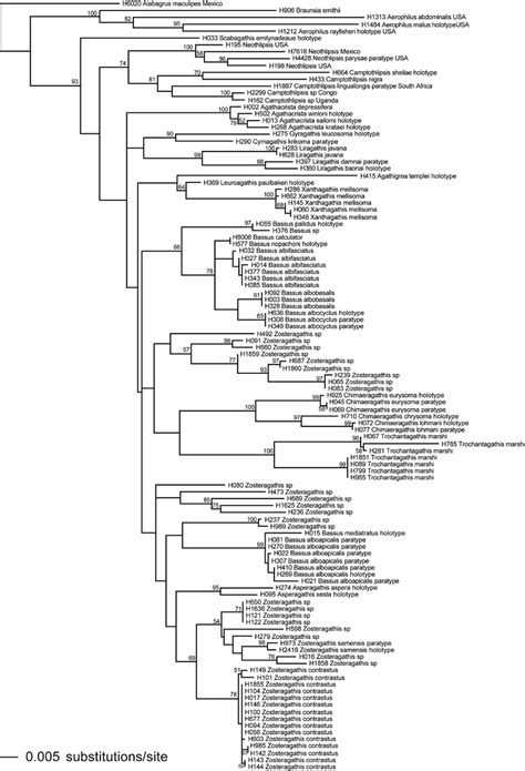 Tree Of Highest Log Likelihood From 20 Ml Search Reps Of The Combined