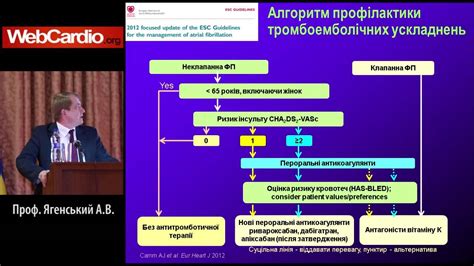Особливості антикоагулянтної терапії у пацієнтів з фібриляцією передсердь та супутньою