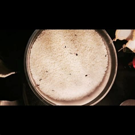 自酿果酒怎么做自酿果酒的做法豆果美食