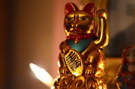 행운의 고양이 마네키네코