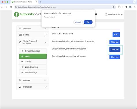 Selenium Webdriver Alerts And Popups