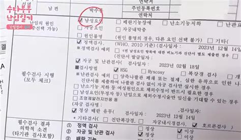 시험관 시술 시작한 박수홍 부부 근황 연예이슈 수다방 네모판