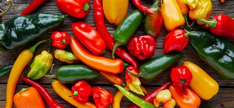 Chiles Mexicanos Info Latina