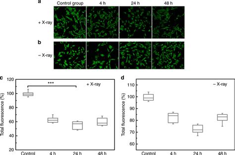 In Vitro Gene Silencing By X Ray Triggered Liposomes Loaded With Download Scientific Diagram