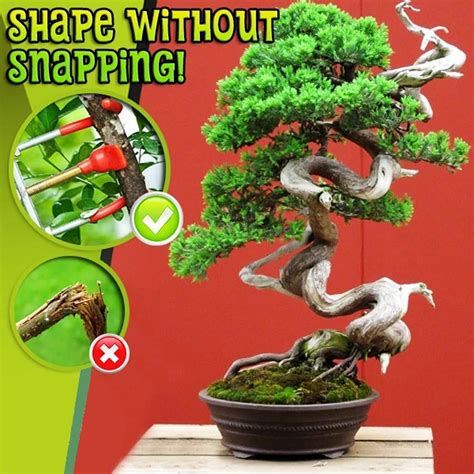 Clearance Bnng Branch Bender Tree Branch Trunk Bender Tree Trunk