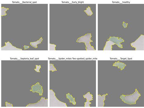 Machine Learning Deep Learning Image Processing Implementation In Python Upwork