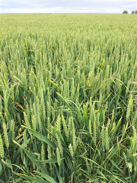 Patterns For Aws Lambda Fanout Getting More Done Faster Without Going By Lee Harding