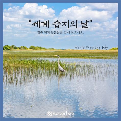 수퍼비 글로벌 디자인 그룹 🗾세계 습지의 날🏞 2월 2일 습지의 가치와 중요성을 인식시키기 위하여