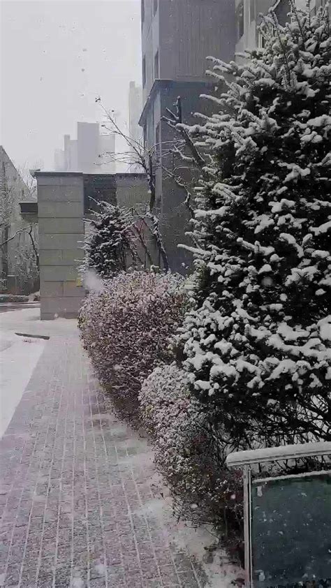 온 세상이 함께 하는 사랑의 시간 네이버 블로그