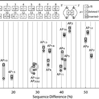 Sequence And Structure The Relationship Between Sequence Divergence Download Scientific