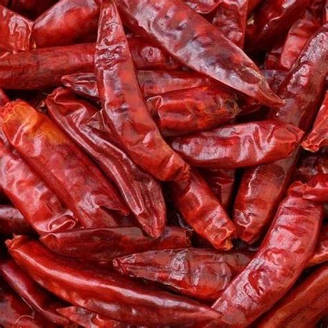 Organic Guntur Dry Red Chilli Without Stem At ₹ 1169kg In Indore Id