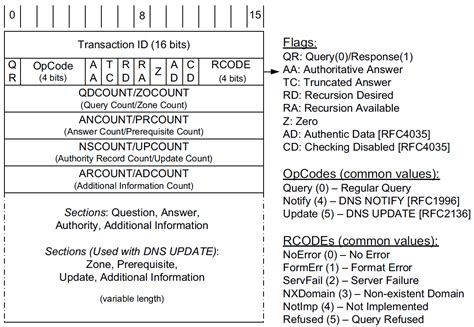 Tcpip Name Resolution And The Domain Name System Dns Code Farm