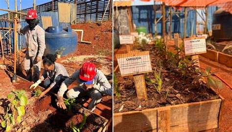 Horta em canteiro de obras traz saúde e bem estar para funcionários