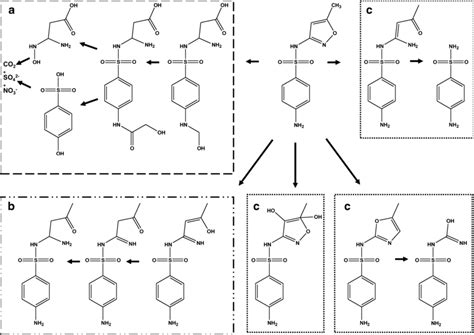 Putative Sulfamethoxazole Smx Degradation Pathway By Strain