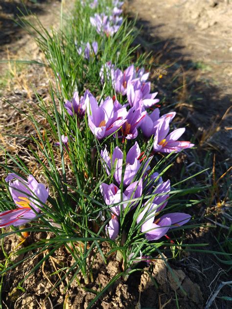 Фондация Благотворител Изтече обявеният срок на Конкурс за учители в спонсорирано обучение