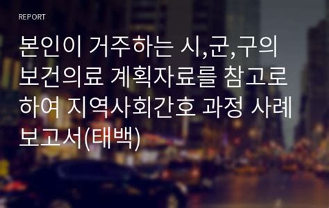 본인이 거주하는 시군구의 보건의료 계획자료를 참고로 하여 지역사회간호 과정 사례보고서태백 레포트