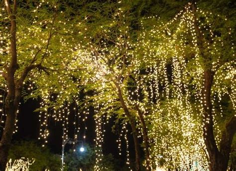Tree String Lights Artofit