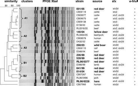 Dendrogram Based On Pfge Patterns Of Stec O113h21 Strains Tables 3