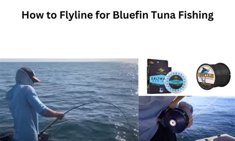 How To Flyline For Bluefin Tuna Fishing Techniques Tips And Best