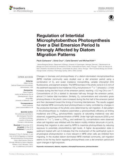 Pdf Regulation Of Intertidal Microphytobenthos Photosynthesis Over A Diel Emersion Period Is