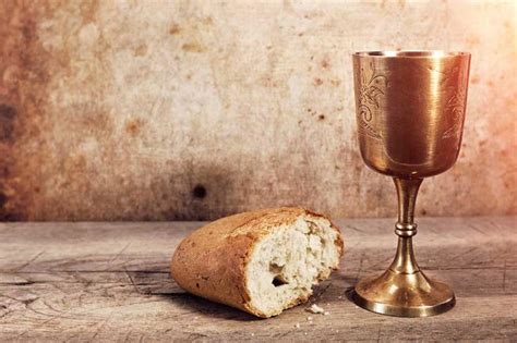 Homily The Feast Of Corpus Christi Indian Catholic Matters