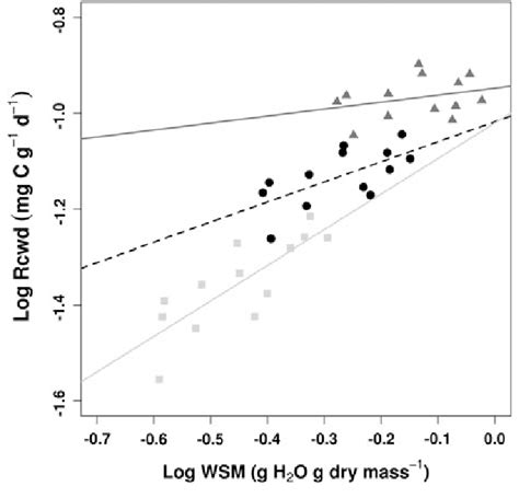 Linear Relationships Of The Mean Log 10 R Cwd Per Measurement Date Mg Download Scientific