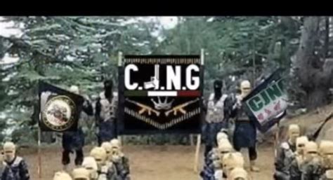 Flags Of The Cjng Cartel In Mexico R Vexillology