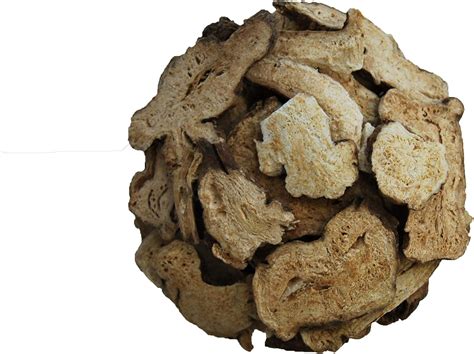 Rhizoma Atractylodis Macrocéphalaeatractylodes Blanches Tubercule