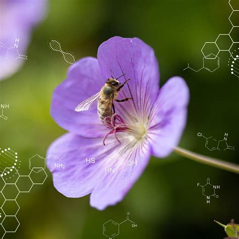 Measure The Effectiveness Of Living Walls With Dna Insectscan