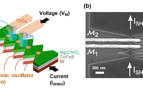 Memristive Spintronic Neurons Combining Two Cognitive Computing Nano Elements Into One