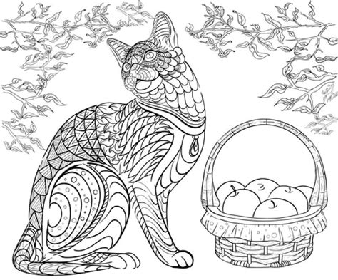 矢量着色的黑白图案图片 矢量黑白猫前面放着一篮苹果插图素材 高清图片 摄影照片 寻图免费打包下载