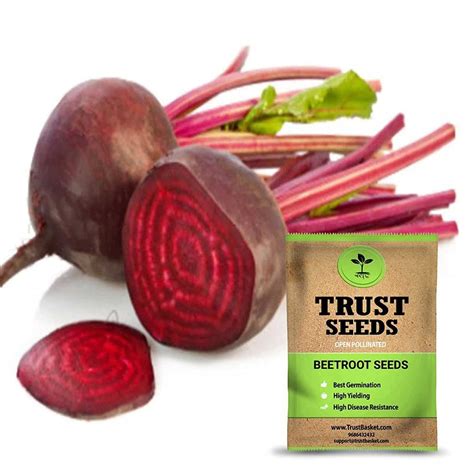 Beetroot Seeds Op At ₹ 12 Vegetable Seeds In Bengaluru Id