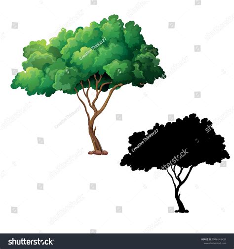 Tree Vector Silhouette Design Tree Silhouette Stock Vector Royalty