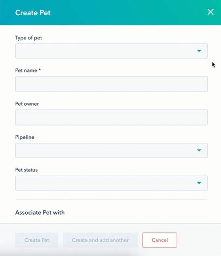 create custom object records
