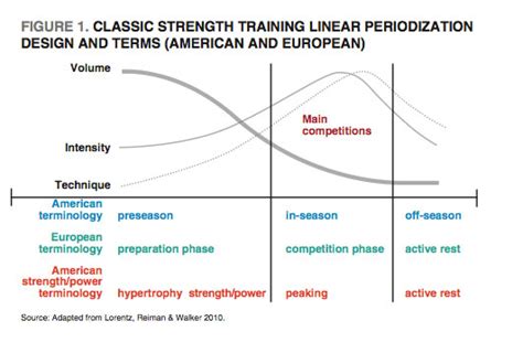 Resistance Training Periodization In Women New Insight For Training Design Idea Health