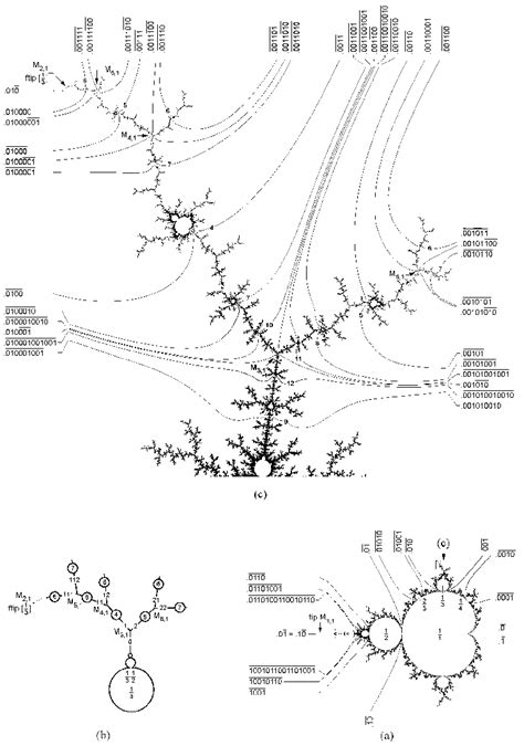 A Mandelbrot Set With The First Four External Arguments Of The Period
