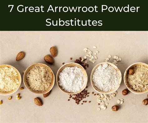 7 Great Arrowroot Powder Substitutes Chefs Pencil