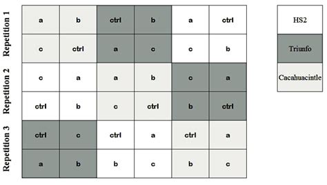 Model Of The Split Plot Design With Randomized Complete Blocks Used Download Scientific