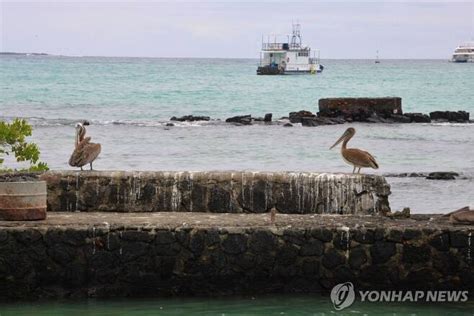 中 불법조업 겨냥갈라파고스 해상서 美 등 12개국 해군 훈련